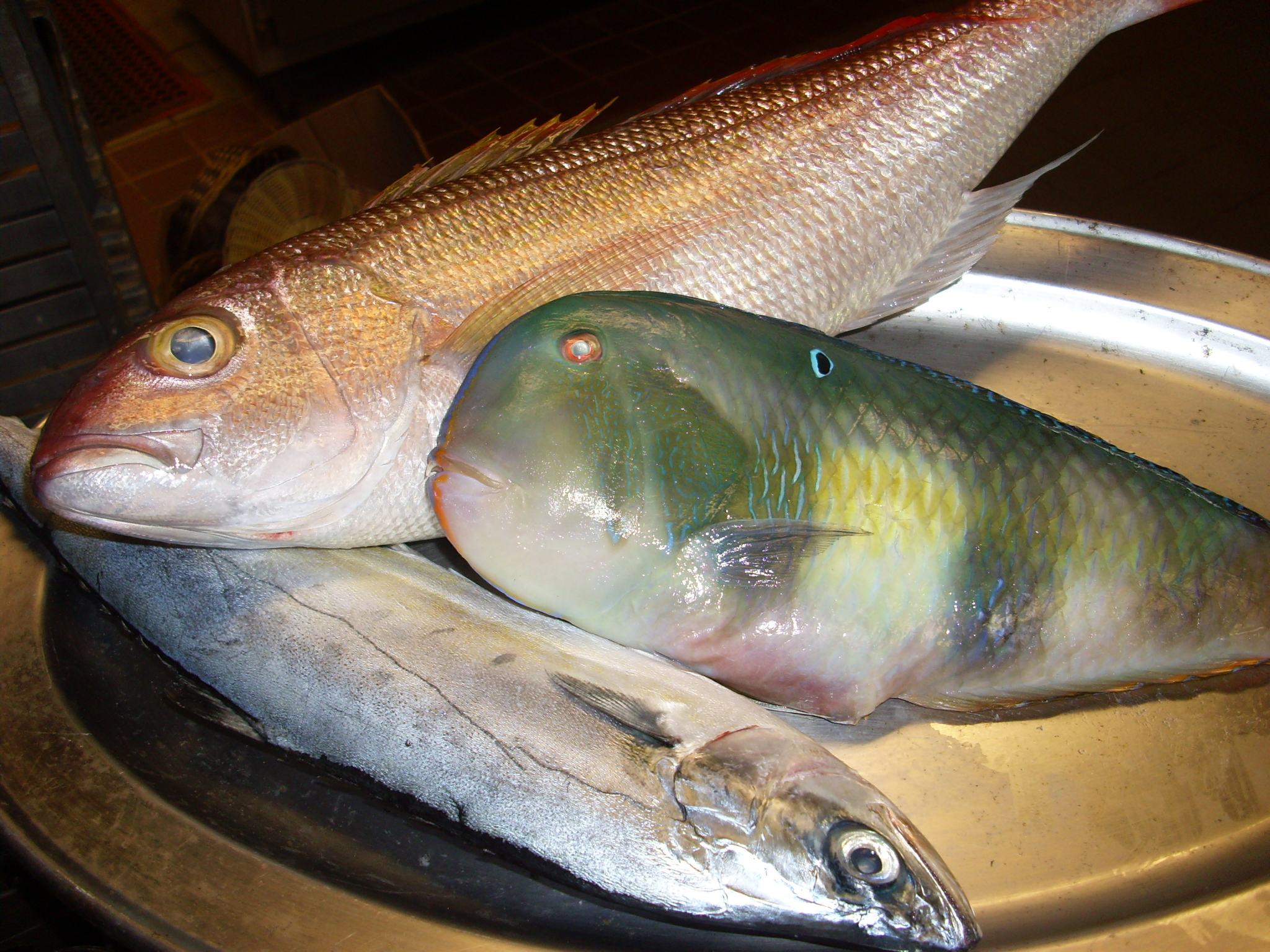 Gimme That Fish, Just Gimme That Fish | Maui Restaurants Blog