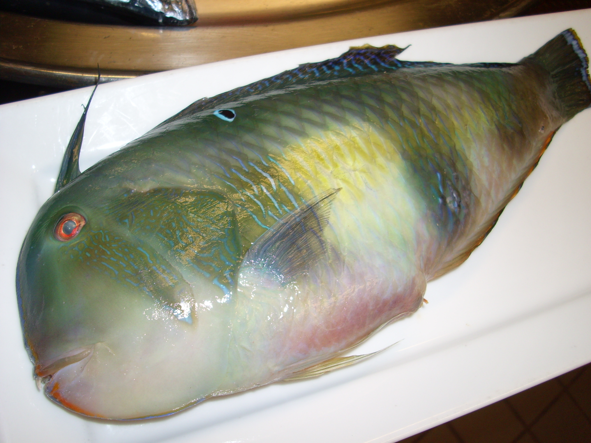 Gimme That Fish, Just Gimme That Fish | Maui Restaurants Blog